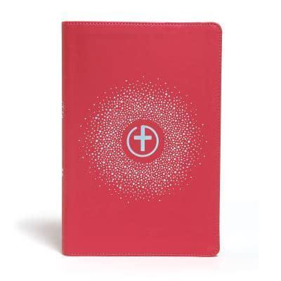 CSB ONE BIG STORY BIBLE PINK IMITATION :: Christian Standard Bible ...